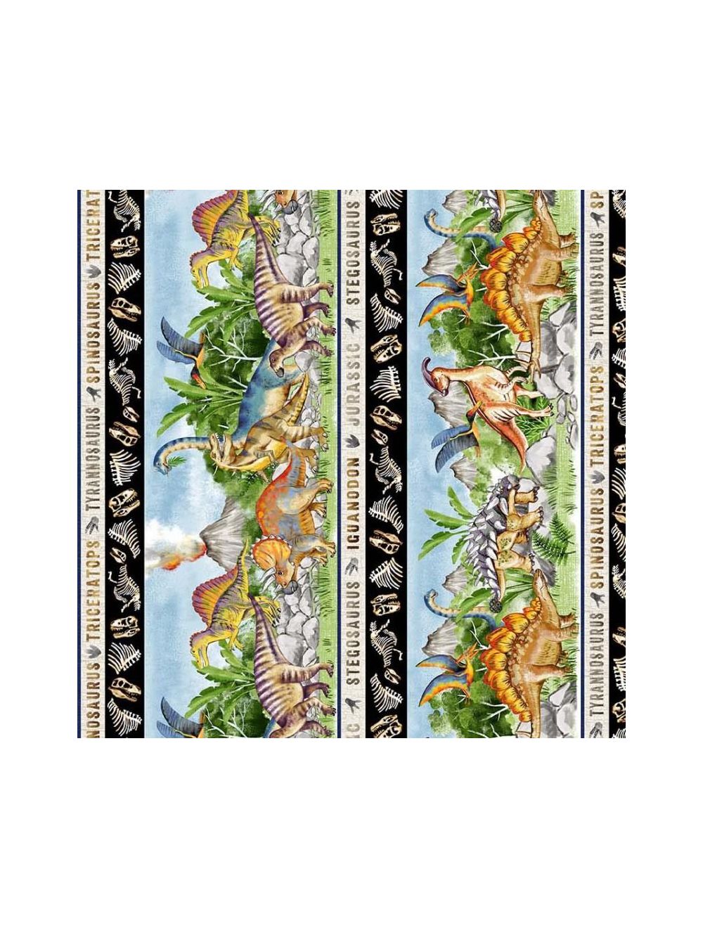 Michael Miller | Dinosaurs, Dinosaurs | Parade Border Print